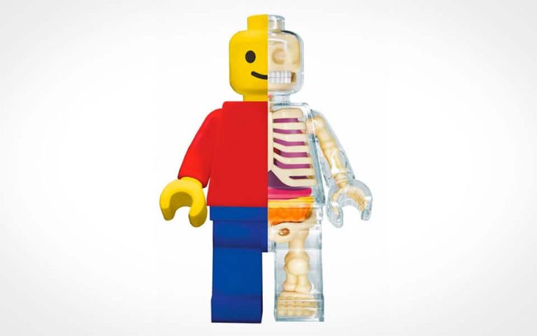 Brick Man Anatomical Puzzle