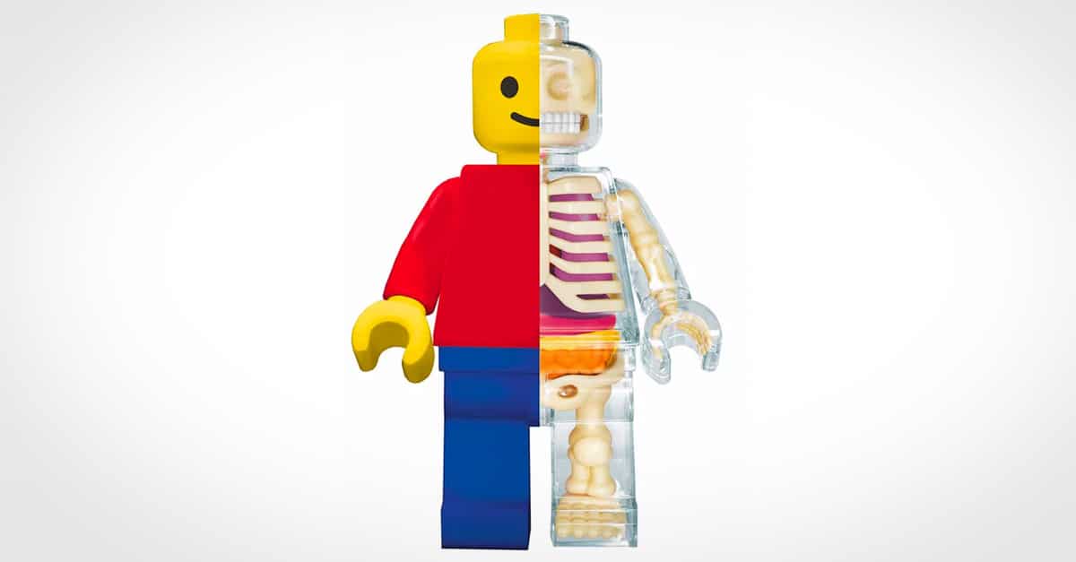 Brick Man Anatomical Puzzle
